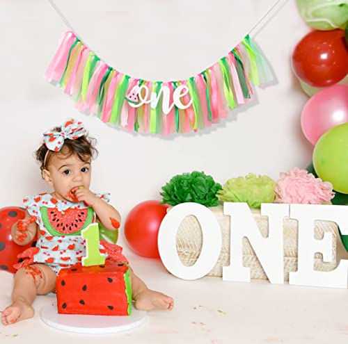 One Person in the Watermelon Banner- 1st Birthday High Chair Banner, Smashed Cake, Photo Background Props, Piece Skirt (Watermelon Banner)