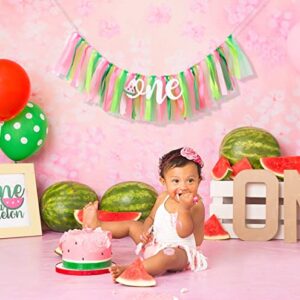 One Person in the Watermelon Banner- 1st Birthday High Chair Banner, Smashed Cake, Photo Background Props, Piece Skirt (Watermelon Banner)