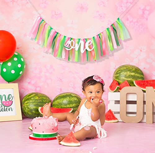 One Person in the Watermelon Banner- 1st Birthday High Chair Banner, Smashed Cake, Photo Background Props, Piece Skirt (Watermelon Banner)