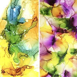 Pixiss Alcohol Ink Set - 25 Large Highly Saturated Colors - (15ml/.5oz), Pixiss 4oz Alcohol Blending Solution