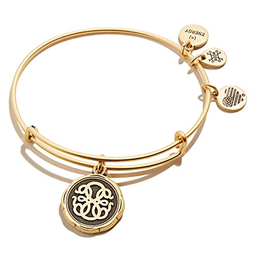 Alex and Ani Path of Symbols Expandable Bangle for Women, Path of Life Embossed Charm, Rafaelian Gold Finish, 2 to 3.5 In