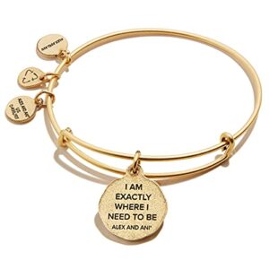 Alex and Ani Path of Symbols Expandable Bangle for Women, Path of Life Embossed Charm, Rafaelian Gold Finish, 2 to 3.5 In