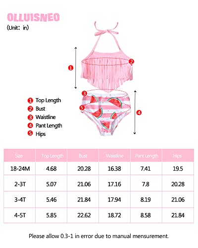 4T Toddler Girl Swimsuit Little Kids Triangle Bikini Tassel Halter Tankini Top 2pc Watermelon Bathing Suit 4T 5T Swimsuit for Girls Light Pink