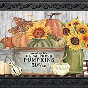 Briarwood Lane Farm Fresh Bushel Autumn Doormat Pumpkins Indoor Outdoor 30" x 18"