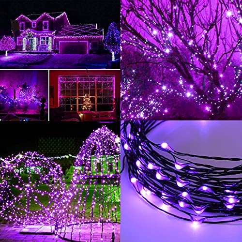 Twinkle Star 33 FT 120 LED Outdoor Solar String Lights, Solar Powered Halloween Decorative Fairy Lights with 8 Modes, Waterproof Black Wire Light Christmas Patio Yard Wedding Party, Purple, 2 Pack