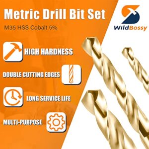 M35 5% Cobalt Metric Drill Bits Set (1mm-10mm/19pcs), Straight Shank Jobber Drill Bits, Metal HSS Twist Drill Bits for Stainless Steel Hard Metal and Cast Iron