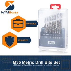 M35 5% Cobalt Metric Drill Bits Set (1mm-10mm/19pcs), Straight Shank Jobber Drill Bits, Metal HSS Twist Drill Bits for Stainless Steel Hard Metal and Cast Iron