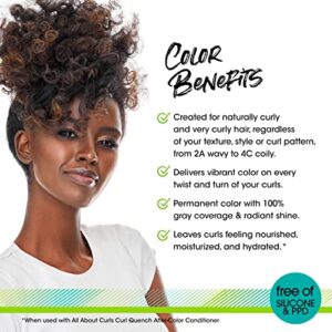 All About Curls 4RM Berry-Go-Round Permanent Hair Color (Prep + Protect Serum & Hair Dye for Curly Hair) - 100% Grey Coverage, Nourished & Radiant Curls