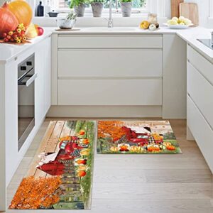 Z&L Home Kitchen Mat and Rug Set of 2 Thanksgiving Fall Farm Absorbent Bath Floor Mat Soft Non Slip Doormats Dwarfs with Pumpkins Retro Truck Wood Barn Plank Runner Carpets for Laundry Bedroom