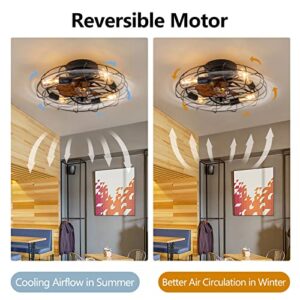 DIDER 21" Low Profile Caged Ceiling Fan with Lights Remote Control, Include Bulbs, Farmhouse Bladeless Small Industrial Black Ceiling Light Fixture for Bedroom