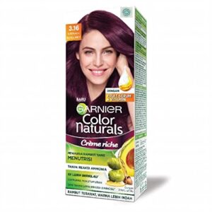 garnier color naturals creme riche hair dye hala (burgundy)