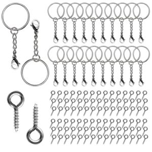 Key Chain Rings Bulk, FANMAOUS 60Pcs Split Key Ring 1 Inch/25mm Silver Key Chain Kit with Jump Rings Lobster Clasp and 100Pcs Screw Eye Pins Bulk for Crafts Jewerly Making