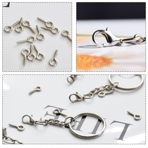 Key Chain Rings Bulk, FANMAOUS 60Pcs Split Key Ring 1 Inch/25mm Silver Key Chain Kit with Jump Rings Lobster Clasp and 100Pcs Screw Eye Pins Bulk for Crafts Jewerly Making