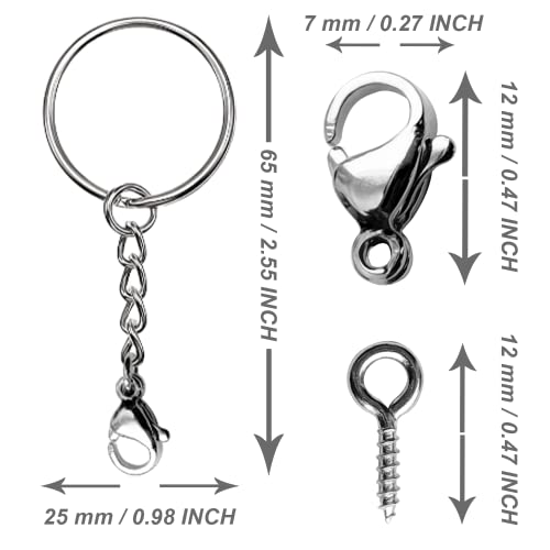 Key Chain Rings Bulk, FANMAOUS 60Pcs Split Key Ring 1 Inch/25mm Silver Key Chain Kit with Jump Rings Lobster Clasp and 100Pcs Screw Eye Pins Bulk for Crafts Jewerly Making