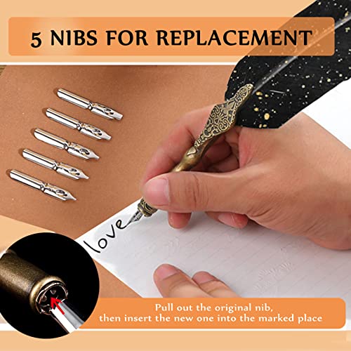 Jubapoz Feather Pen Quill Pen and Ink Set Antique Calligraphy Pen Ink Dip Pens with Refillable Notebook for Writing, Drawing, Signatures, Wedding, Birthday Gifts, Retro Decoration (8 Nibs-Black)