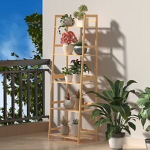 WTZ Bookshelf Book Shelf, Bookcase Storage Shelves Book case, Ladder Shelf for Bedroom, Living Room, Office MC-508(Natural)