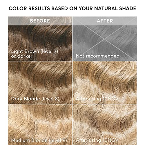 Madison Reed Radiant Hair Color Kit, Light Golden Blonde for Superior Gray Coverage, Ammonia-Free, 10NGV Amalfi Blonde, Permanent Hair Dye, Pack of 1