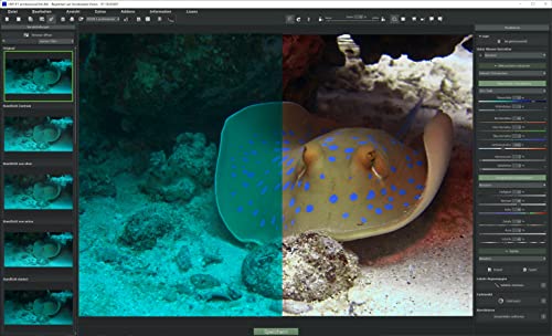 DIVE #1 Professional – Improve your underwater photos easily - photo editing software compatible with Windows 11, 10, 8 and 7