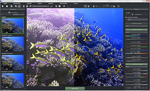 DIVE #1 Professional – Improve your underwater photos easily - photo editing software compatible with Windows 11, 10, 8 and 7