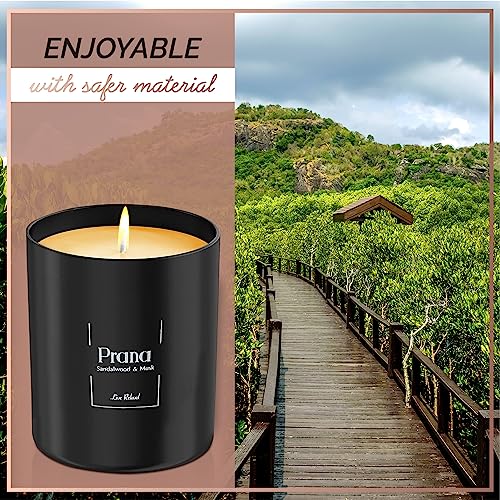 Relaxd Premium Sandalwood & Musk Scented Natural Soy Wax Candle (Prana), Large, Long Lasting Aromatherapy Essential Oil Candles