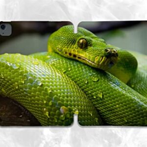 Cute Green Snake Pattern case Compatible with iPad Mini Air Pro 7.9 8.3 9.7 10.2 10.9 11 12.9 inch Pattern Cover New 2022 2021 Trifold Stand 3 4 5 6 7 8 9 Generation 391 (10.2" 7/8/9 gen)