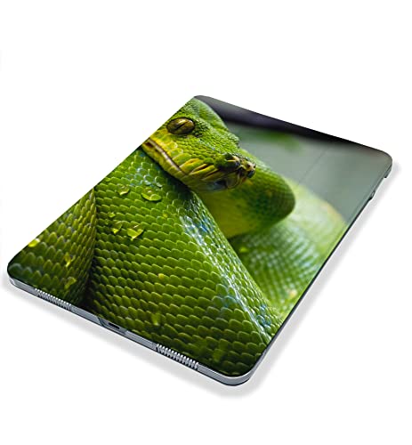 Cute Green Snake Pattern case Compatible with iPad Mini Air Pro 7.9 8.3 9.7 10.2 10.9 11 12.9 inch Pattern Cover New 2022 2021 Trifold Stand 3 4 5 6 7 8 9 Generation 391 (10.2" 7/8/9 gen)