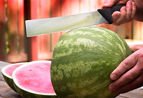 Mercer Culinary 12 Inch Watermelon Knife