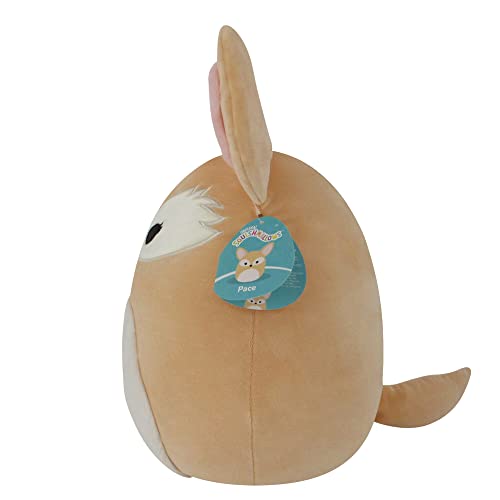 Squishmallows 14-Inch Pace Tan Fennec Fox - Large Ultrasoft Official Kelly Toy Plush