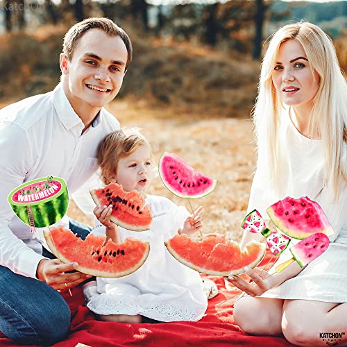 KatchOn, One in A Melon Photo Props - Pack of 28, Watermelon Photo Props, Watermelon Decorations | One in A Melon Party Decorations for Watermelon Birthday Decorations | Watermelon Photo Booth Props