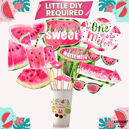 KatchOn, One in A Melon Photo Props - Pack of 28, Watermelon Photo Props, Watermelon Decorations | One in A Melon Party Decorations for Watermelon Birthday Decorations | Watermelon Photo Booth Props