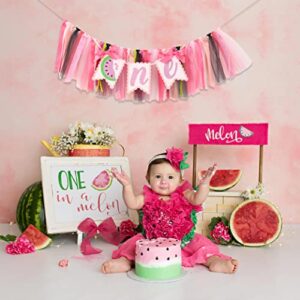 Watermelon High Chair Banner - One in A Melon Watermelon Theme,Pink Watermelon,Watermelon Party Decorations,Smash Cake Photo Prop Backdrop,Girls Firs,Summer Fruit Theme Watermelon First Birthday Party Decorations