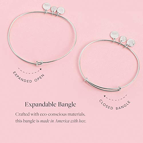 Alex and Ani Symbols and Tokens Expandable Bangle for Women, Spiritual Armor In Line Cross, Rafaelian Silver Finish, 2 to 3.5 in