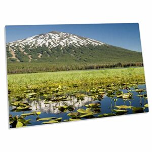 3drose lilly pads, marsh at dutchman flats, near sparks lake,... - desk pad place mats (dpd-332029-1)