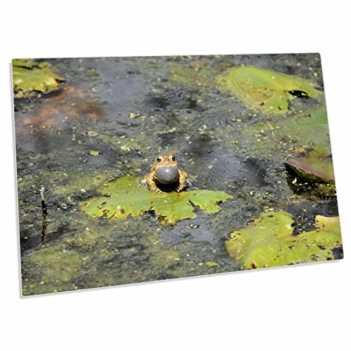 3dRose Frog Croaking on a Lilly Pad - Desk Pad Place Mats (dpd-314304-1)