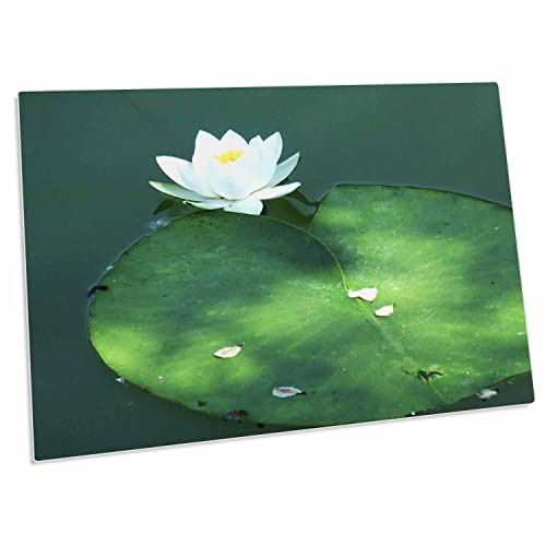 3dRose Florene Flower - White Lotus Blossom On Green Lily Pad - Desk Pad Place Mats (dpd-44783-1)