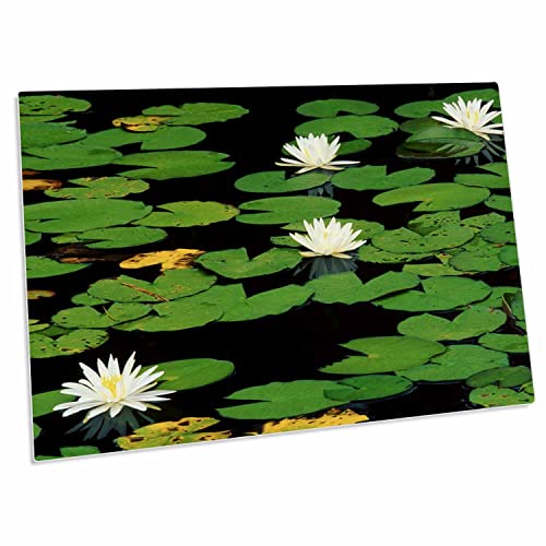 3dRose Florene Flowers - White Water liliies Float On Lily Pads - Desk Pad Place Mats (dpd-57674-1)