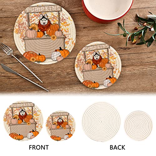 Spring Dogs Sunflower Pot Holders Trivets 2 Pcs Heat Resistant Trivets for Hot Dishes,Puppy Pumpkin Funny Cotton Thread Weave Trivet Mats for Hot Pads Pans Pot Bowl Teapot for Kitchen Decor