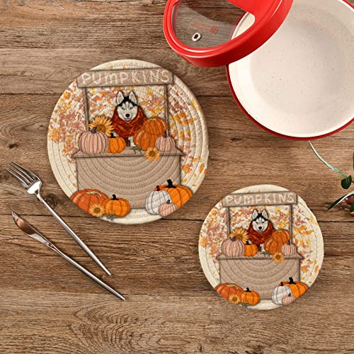 Spring Dogs Sunflower Pot Holders Trivets 2 Pcs Heat Resistant Trivets for Hot Dishes,Puppy Pumpkin Funny Cotton Thread Weave Trivet Mats for Hot Pads Pans Pot Bowl Teapot for Kitchen Decor