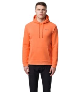 mclaren f1 men's lando norris core hoodie (m)