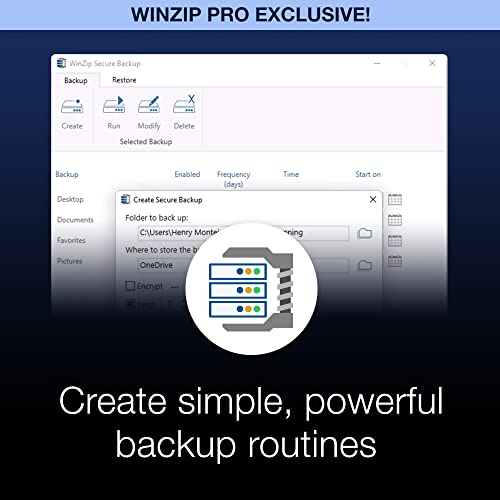 WinZip 27 Pro | File Management, Encryption, Compression & Backup Software [PC Download]