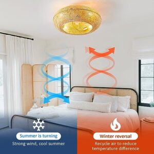 hummingbird Boho Ceiling Fan with Lights Flush Mount, 20 Inch Rattan Caged Ceiling Fans with Light and Remote Control, Bamboo Enclosed 6 Speeds for Bedroom, Living Room