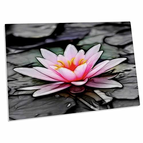 3dRose Pretty Pink Water Lilly Image of Light Infused Painting - Desk Pad Place Mats (dpd-365089-1)