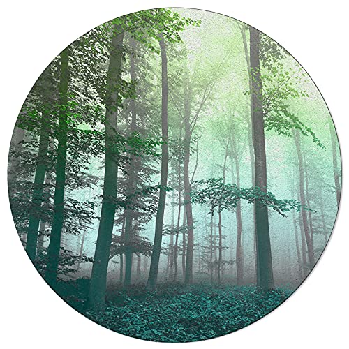 Round Area Rugs Autumn Carpet Washable Soft Indoor Stain-Proof Floor Mat Non-Skid Runner Rugs for Living Dining Room Bedroom Classroom Thanksgiving Day Themed Green Misty Forest 3ft