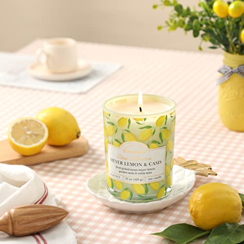 Lemon Fruit Scented Summer Candles Fragrance 15oz Large Jar Candle Gift Decal Jars for Home Gift for Men Women (Lemon)