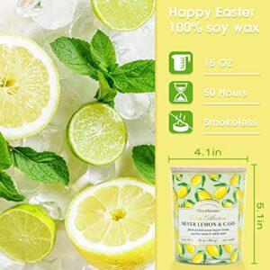 Lemon Fruit Scented Summer Candles Fragrance 15oz Large Jar Candle Gift Decal Jars for Home Gift for Men Women (Lemon)