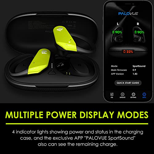 PALOVUE Wireless Earbuds Bluetooth 5.2 Headphones, Noise Cancelling and Waterproof Ear Buds with Earhooks Compatible for iPhone Android for Sport Workout Running