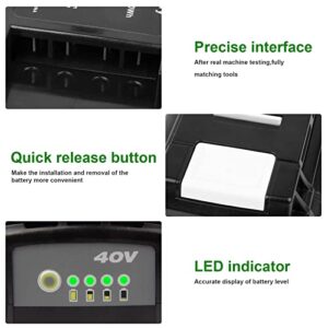 ARyee 6.0Ah 40V Battery Replacement for Ryobi 40-Volt OP4015 OP4050 OP4026 OP40201 OP40261 OP4030 OP40301 OP4040 OP40401 OP40501 OP40601 Cordless Power Tool Lithium Battery (2Pack)