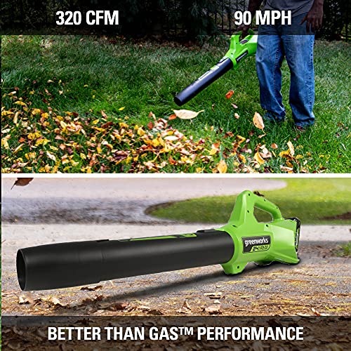 Greenworks 40V 13-Inch Cordless String Trimmer/Edger and Leaf Blower Combo Kit + 3 Bonus Spools, 2.0Ah Battery and Charger Included