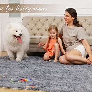 Medeunk 8x10 Area Rugs Solid Grey Super Soft Fluffy Upgrade Sponge Non-Slip No Shedding for Living Room Bedroom Girls/Boys Room Dorm Playroom Lounge Home Decor