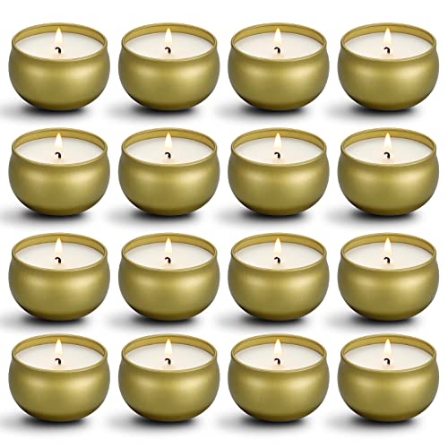 qinxiang Scented Candles Gifts Set,16 Pack Natural Soy Wax Travel Tin Jar Candles for 2.5 OZ Aromatherapy Candles for Family Gatherings, Festive Candles